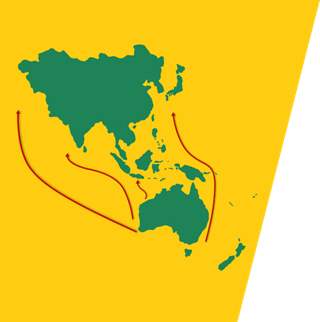 Shipping and Logistics Advice | Australian Shipping Group